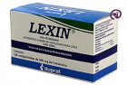 Lexin 300mg c/ 120 comp. | Blog da Farmácia de Bicho.com | Blog da ...