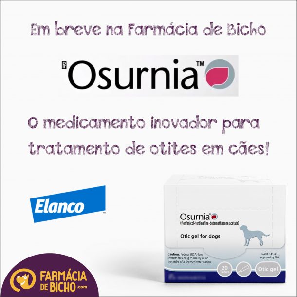 Osurnia - tratamento rápido e simples para otites em cães | Blog da ...